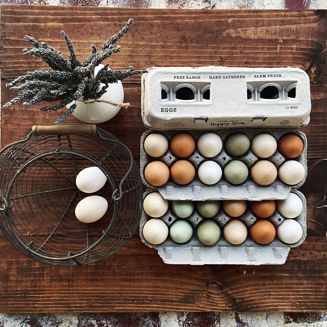 Chicken Keeping – Little Red Farm