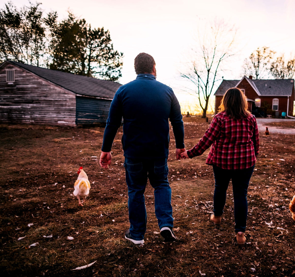 Pricing Update Feb '22 – Little Red Farm