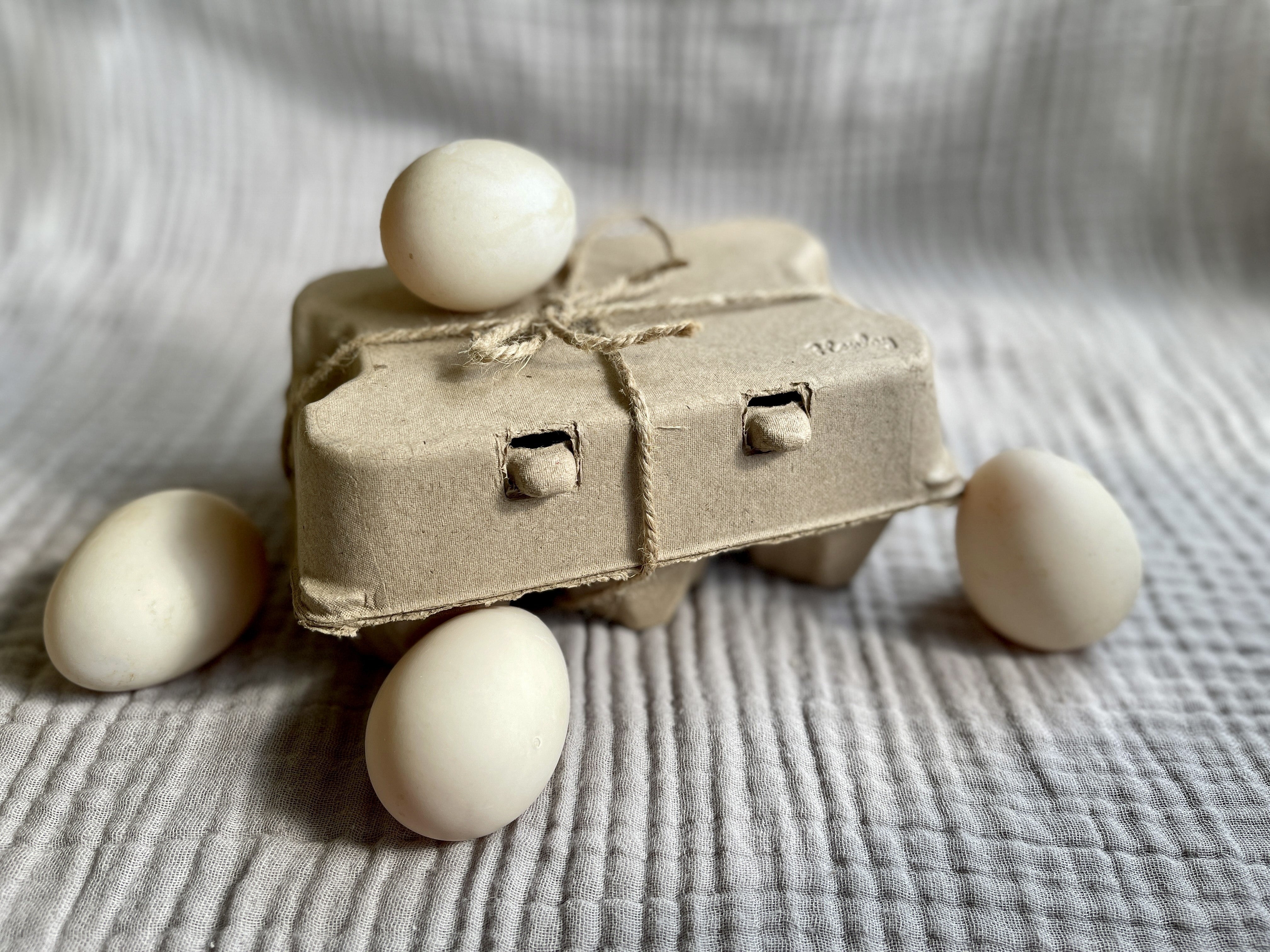 Henlay Duck Egg Cartons - Holds Half Dozen Jumbo Eggs- Blank Flat Top ...
