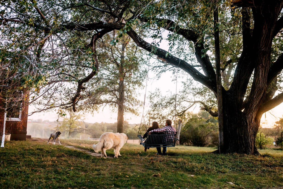 Homestead Help – Little Red Farm