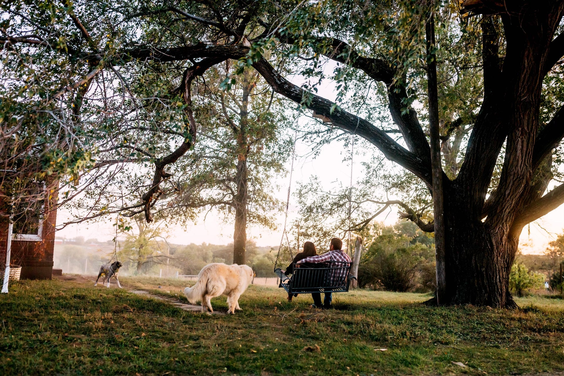 Homestead Help – Little Red Farm