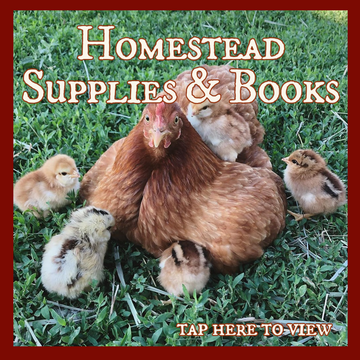 The Little Red Farm - Grass Fed A2A2 Raw Milk and Farmers Market